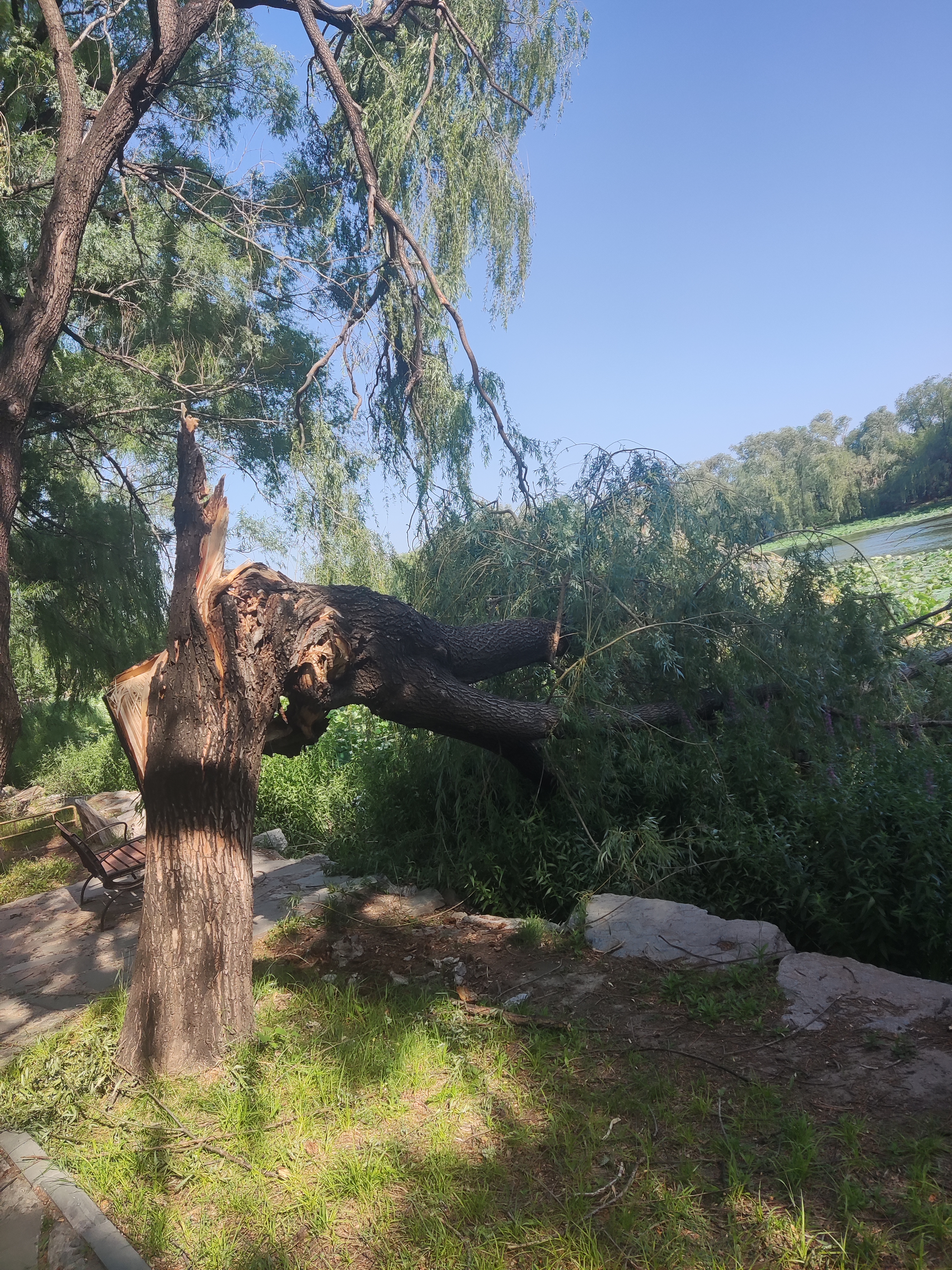 DailyRecord-June | Yukino256のBlog